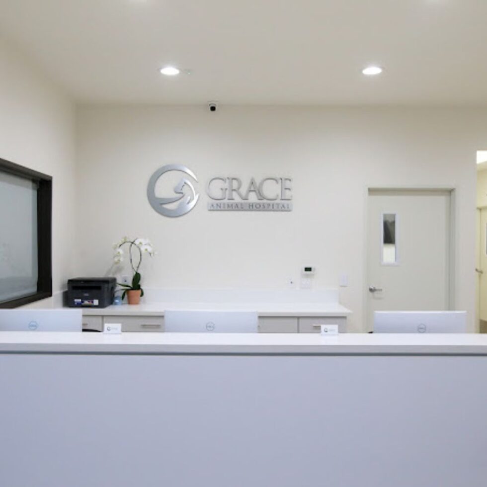 Vet Clinic in Downey | Grace Animal Hospital